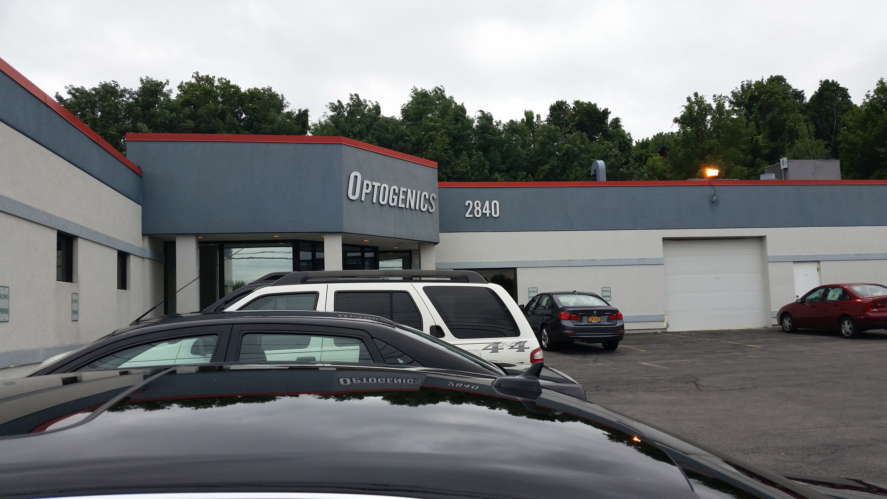 Optogenics – Drulyk Construction